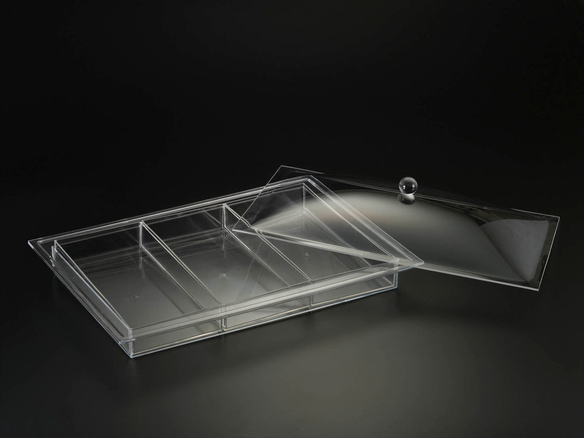 Acrylic Rectangle Tray W/ Cover (Set) – Clear Home Decor