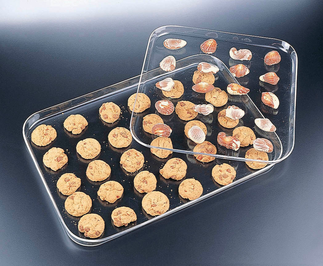 Acrylic SNACK TRAY – Clear Home Decor